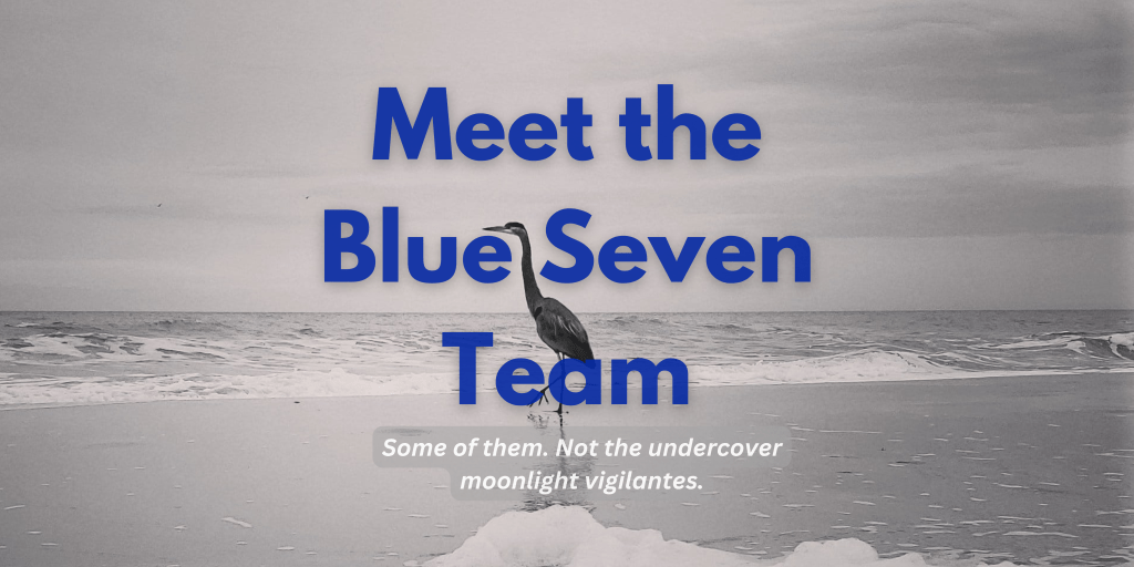 The Blue Seven Content Team - Blue Seven Content